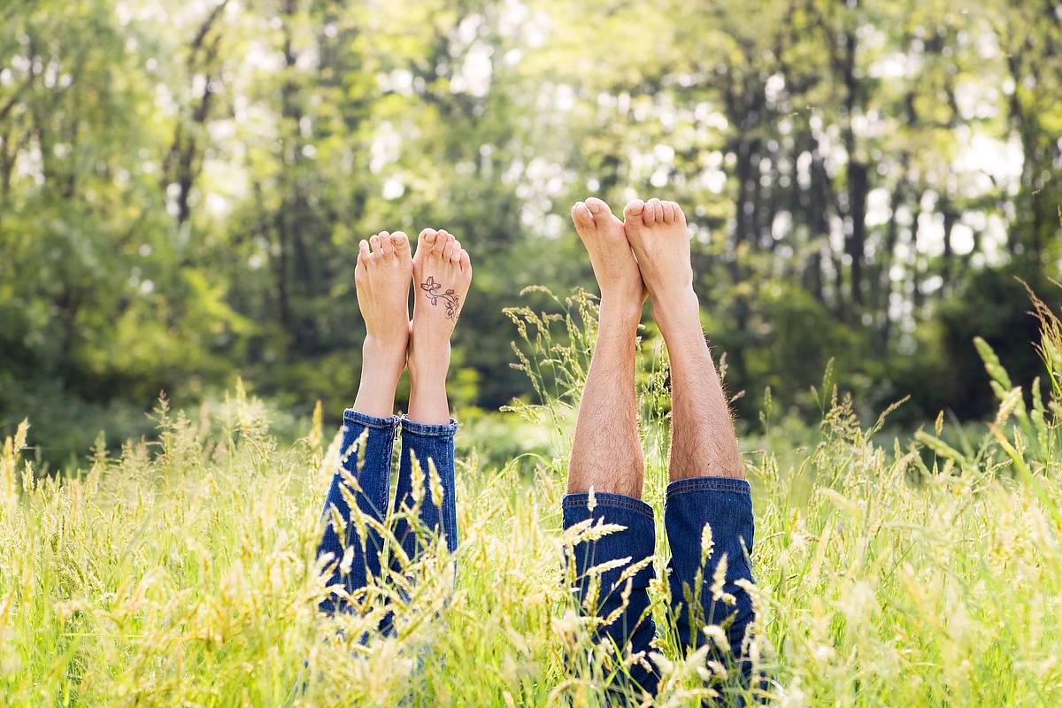 Das neue VHS-Programm ist online